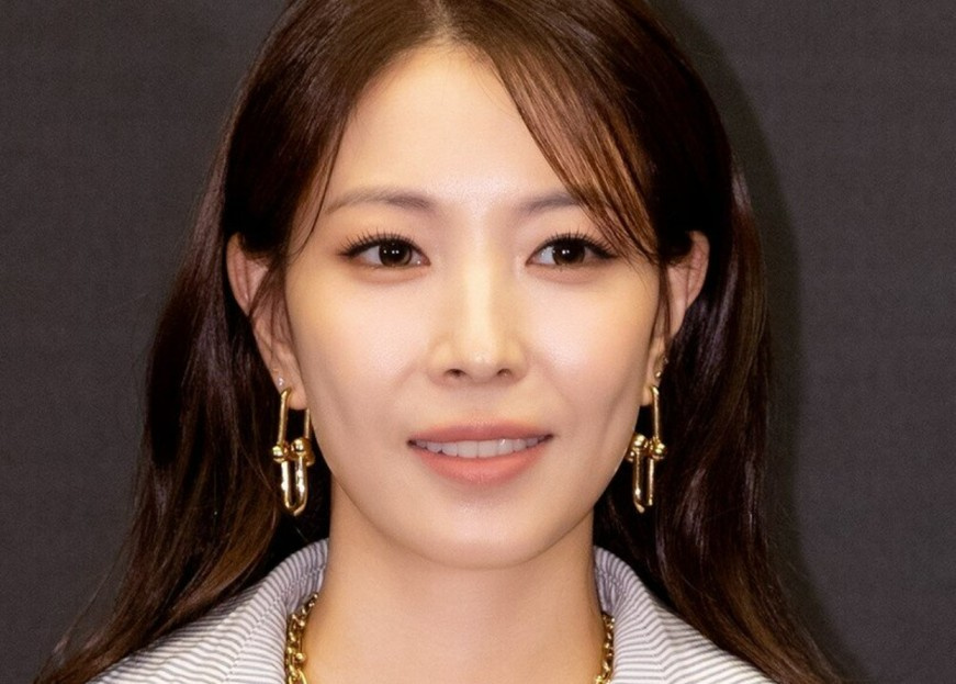 BoA Faces Heartbreaking Real-Life Attacks Amid New Agency Launch – Fans ...